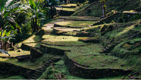 Pagina Inicio - Naio Hotels